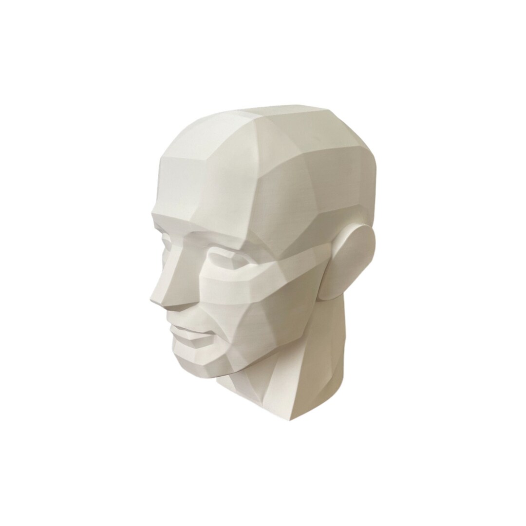 10" 25.4 Cm Planar Head, Planar Bust, Learn the Planes of the Head for ...
