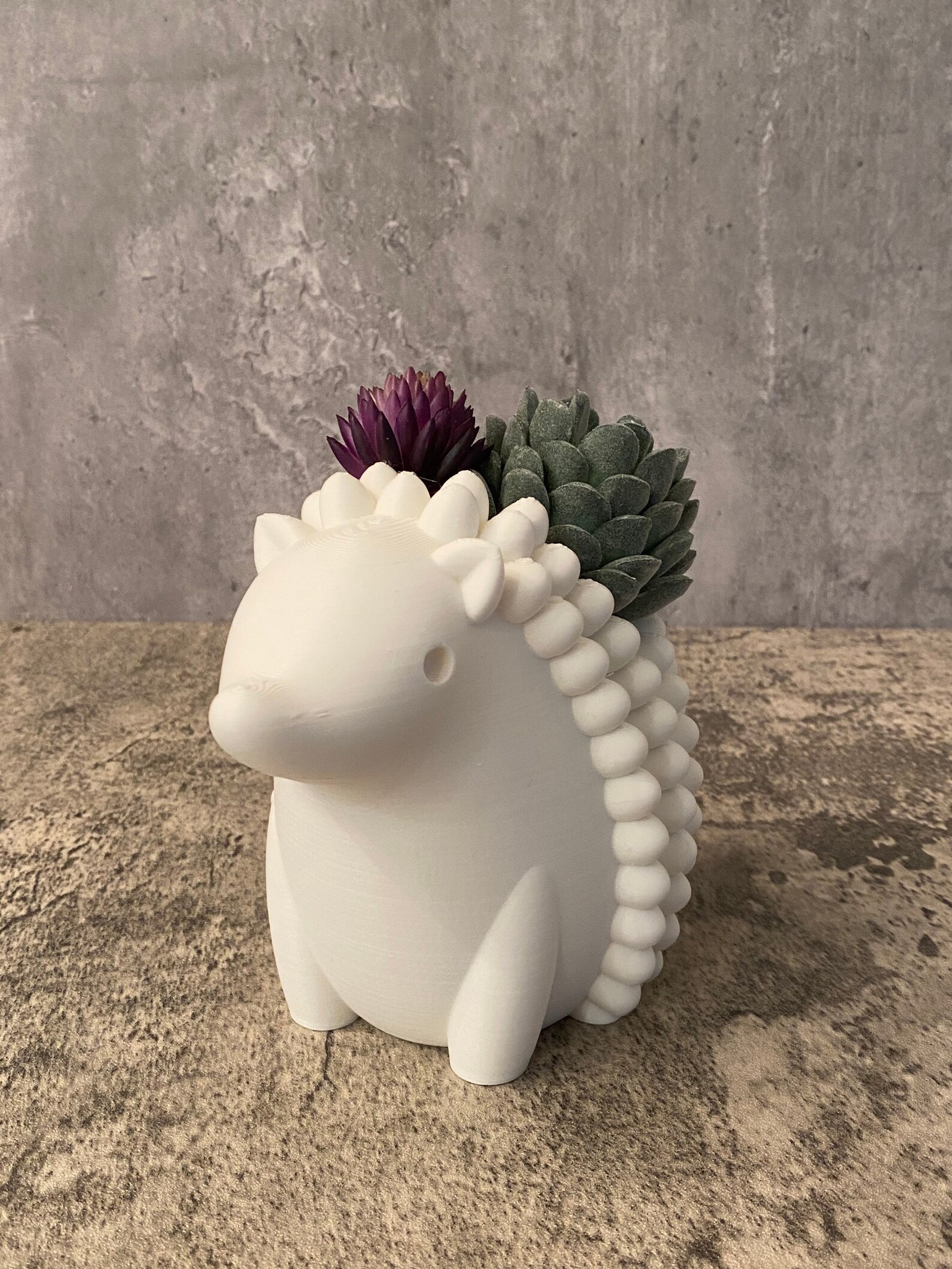 Cute Hedgehog Planter Vase Succulent - Etsy