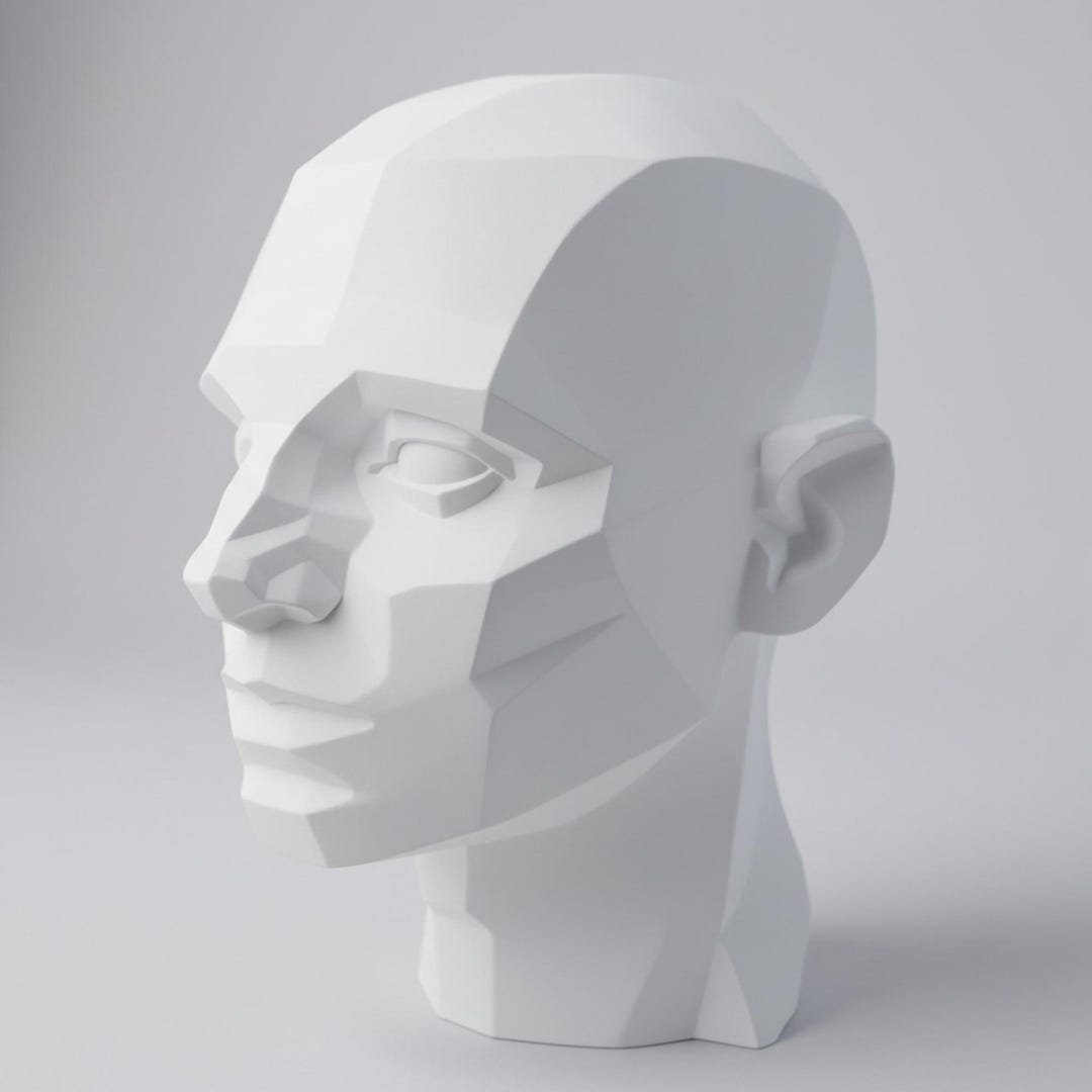 John Asaro Style Planar Head Bust, Drawing Reference, Medical ...