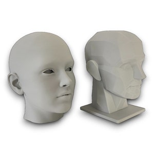 2 Pack-planar and Human Head, Color Silver, 5" Inches 12.7 Cm, Learn ...