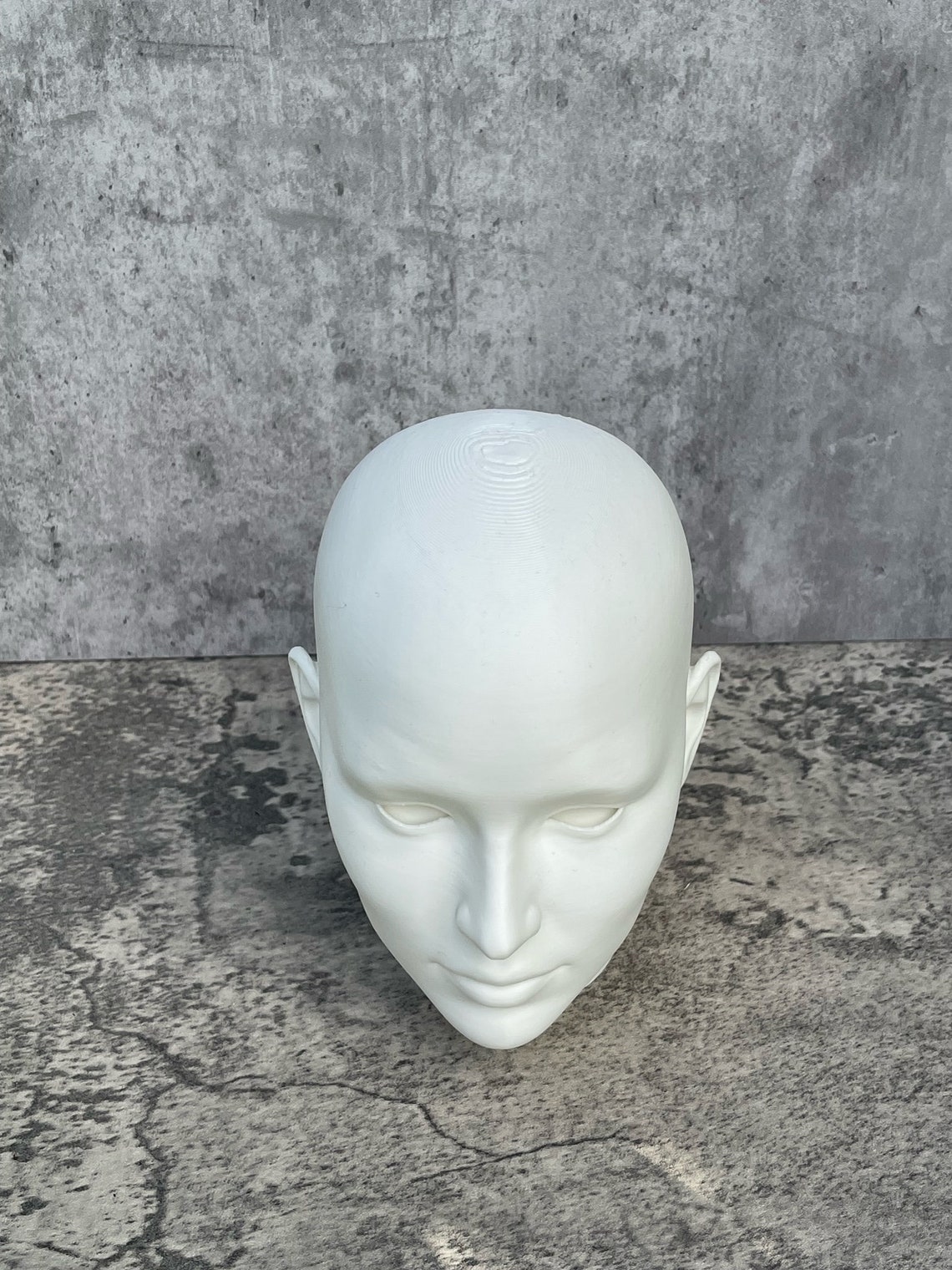 Human Head 10 25.4 Cm Human Bust Learn the Planes of the - Etsy