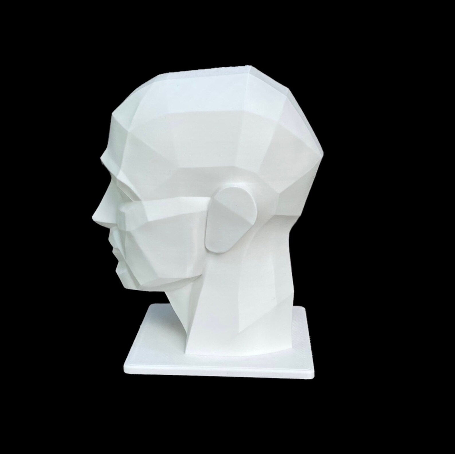 7 17.78 Cm Planar Head, Planar Bust, Learn the Planes of the Head ...