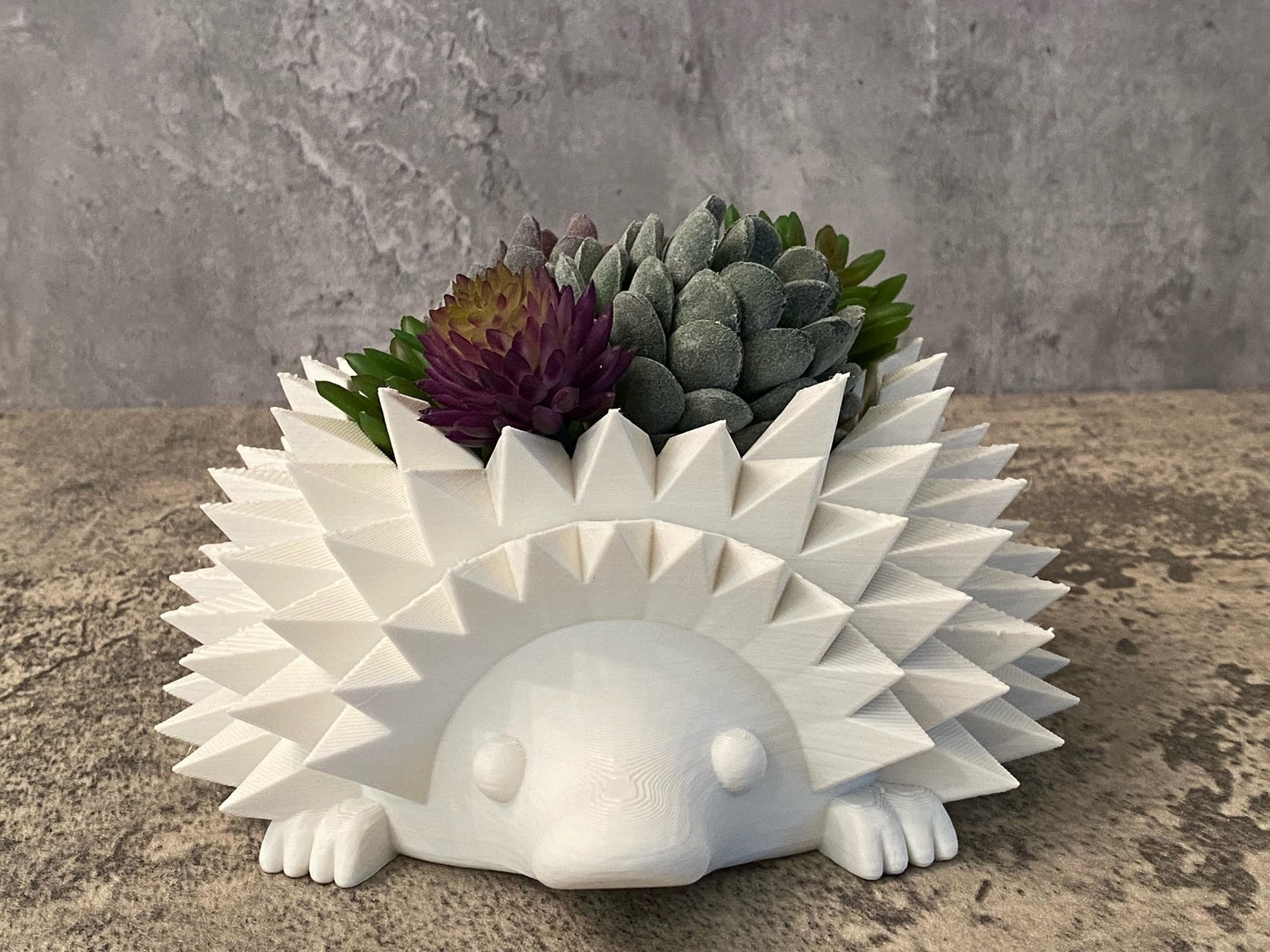 Adorable Hedgehog Planter Vase Succulent Ships in 24 - Etsy