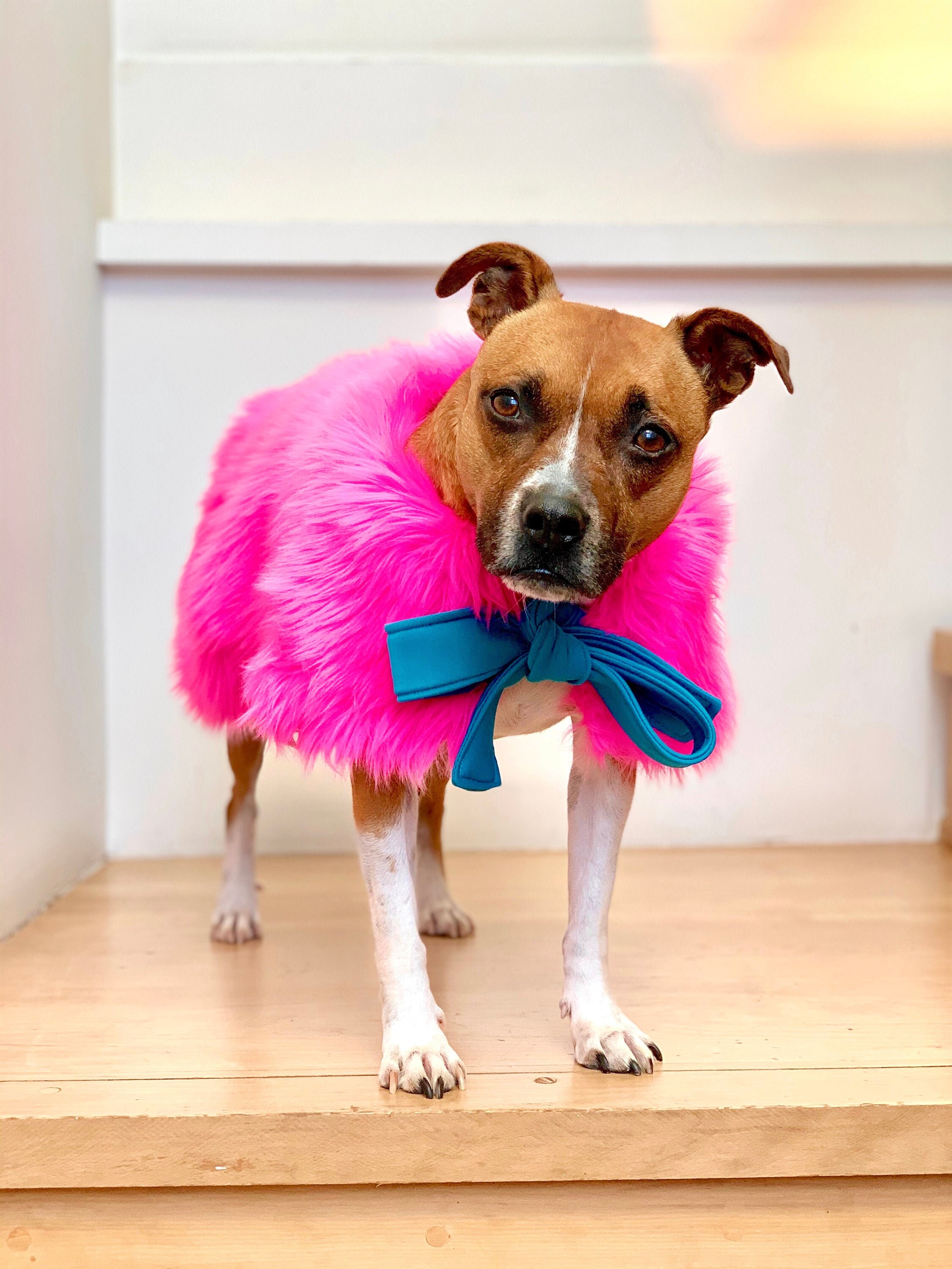 Pink Fun Fur Dog Coat - Etsy