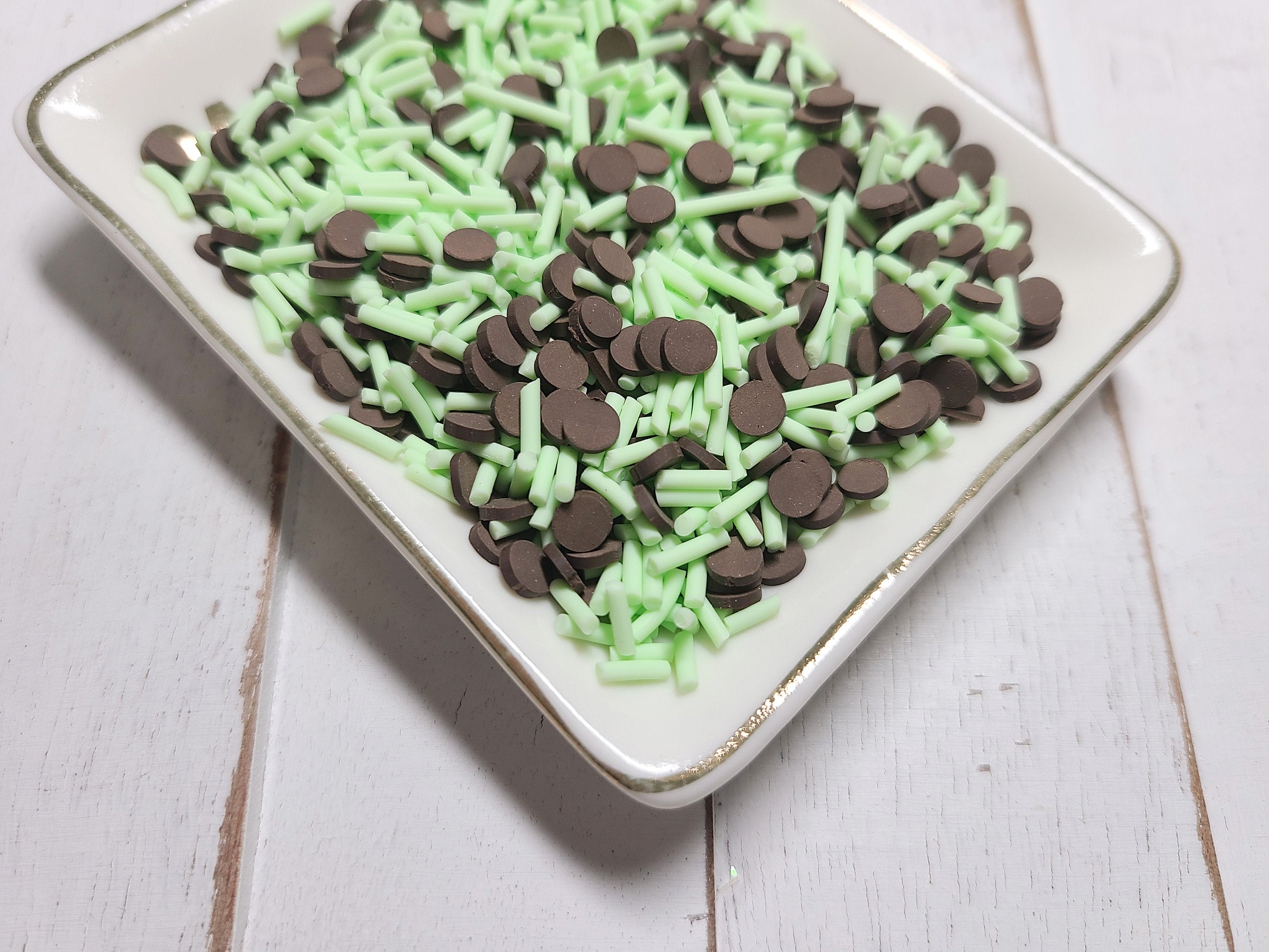 FAKE Mint Chocolate Chip Mix Fake Sprinkles Fake Food - Etsy