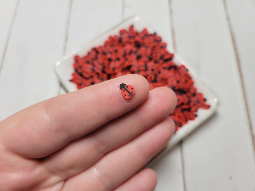 FAKE Ladybug Clay Sprinkles Fake Sprinkles Fake Food Clay Sprinkles ...