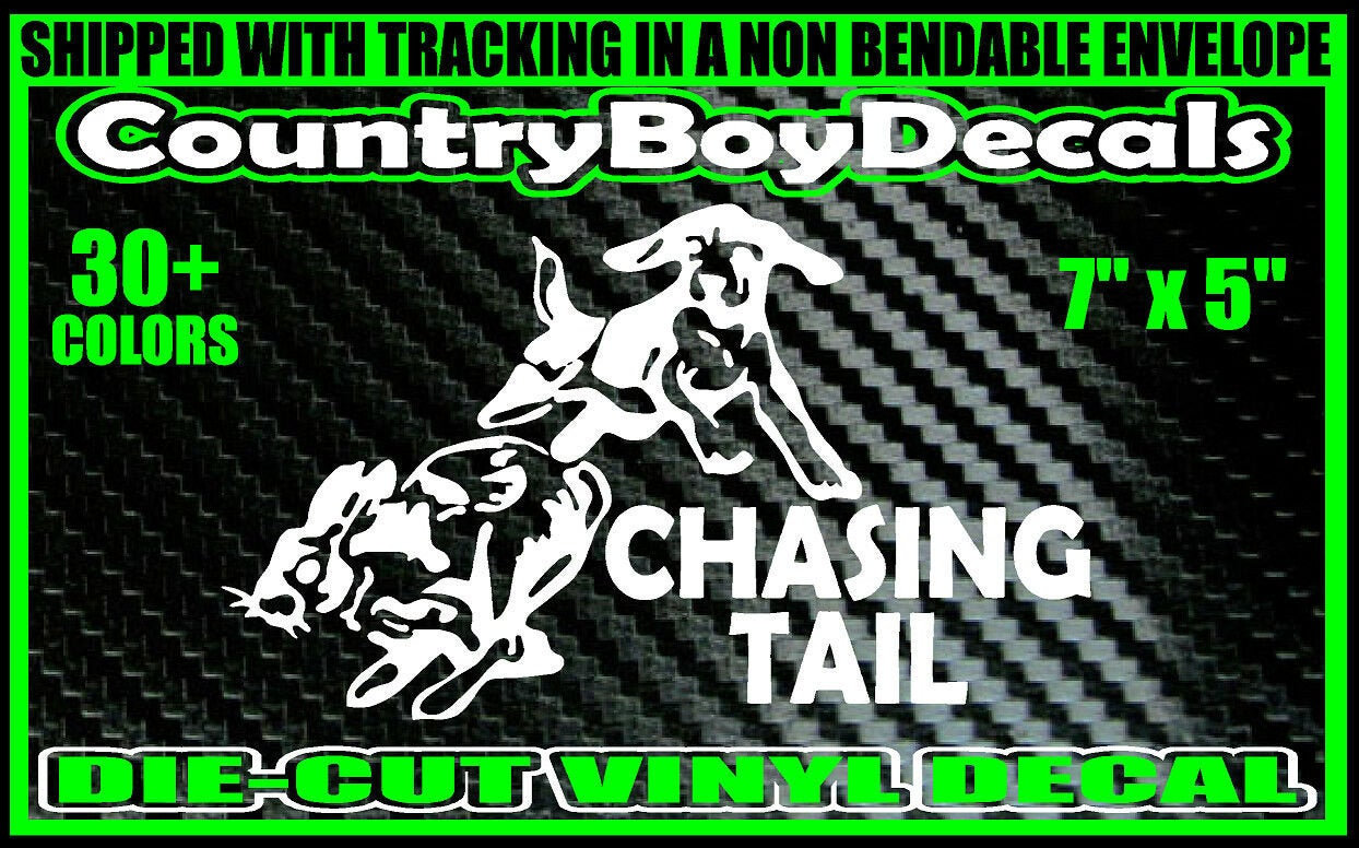 CHASING TAIL Vinyl Decal Sticker RABBIT Hunting Beagle Hound Hunter ...