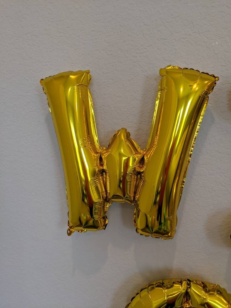 Wild One Balloons First Birthday Balloons 1st Birthday - Etsy