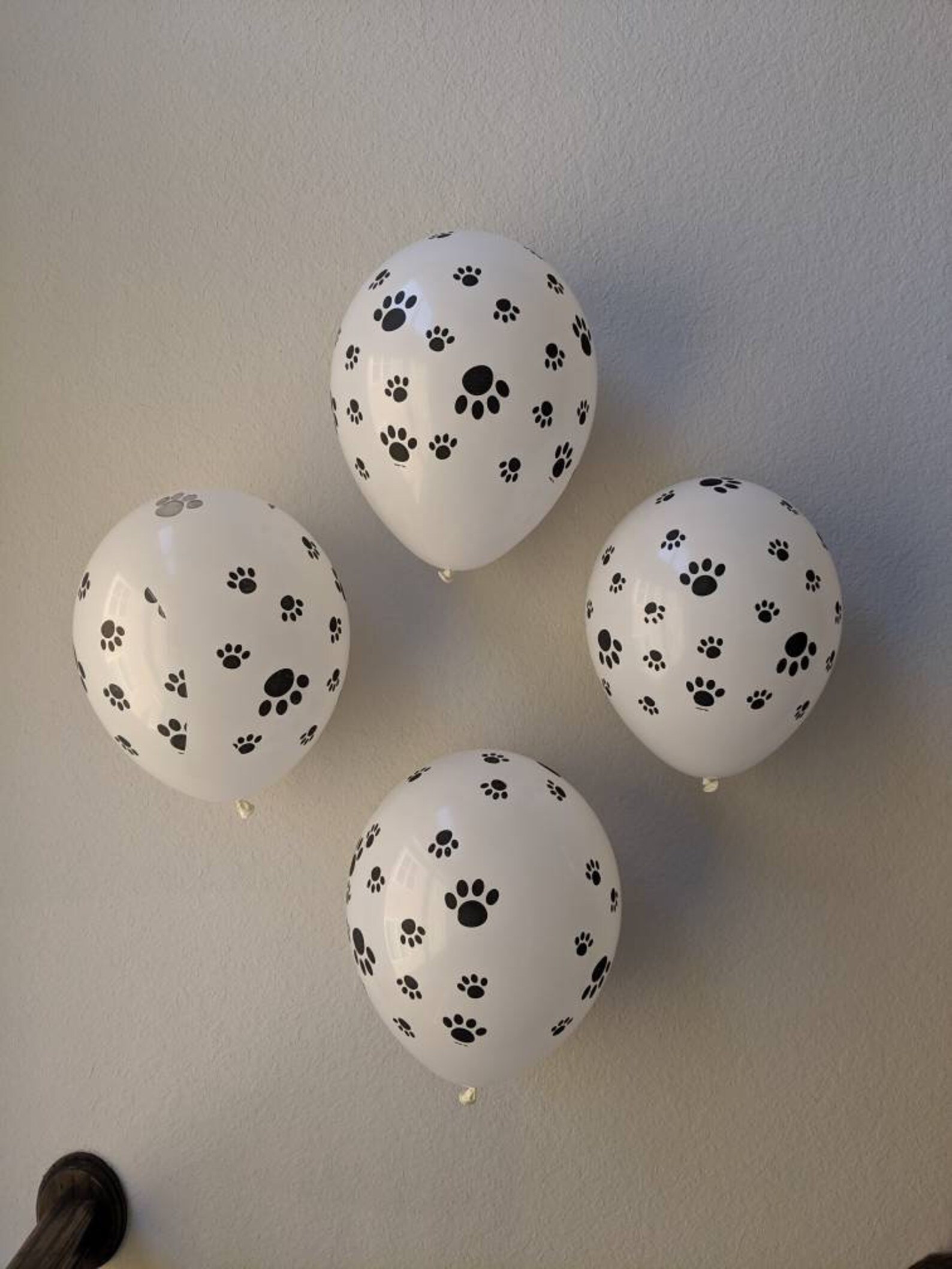Meow Birthday Balloon Set Paw Print Balloon Pet Birthday - Etsy