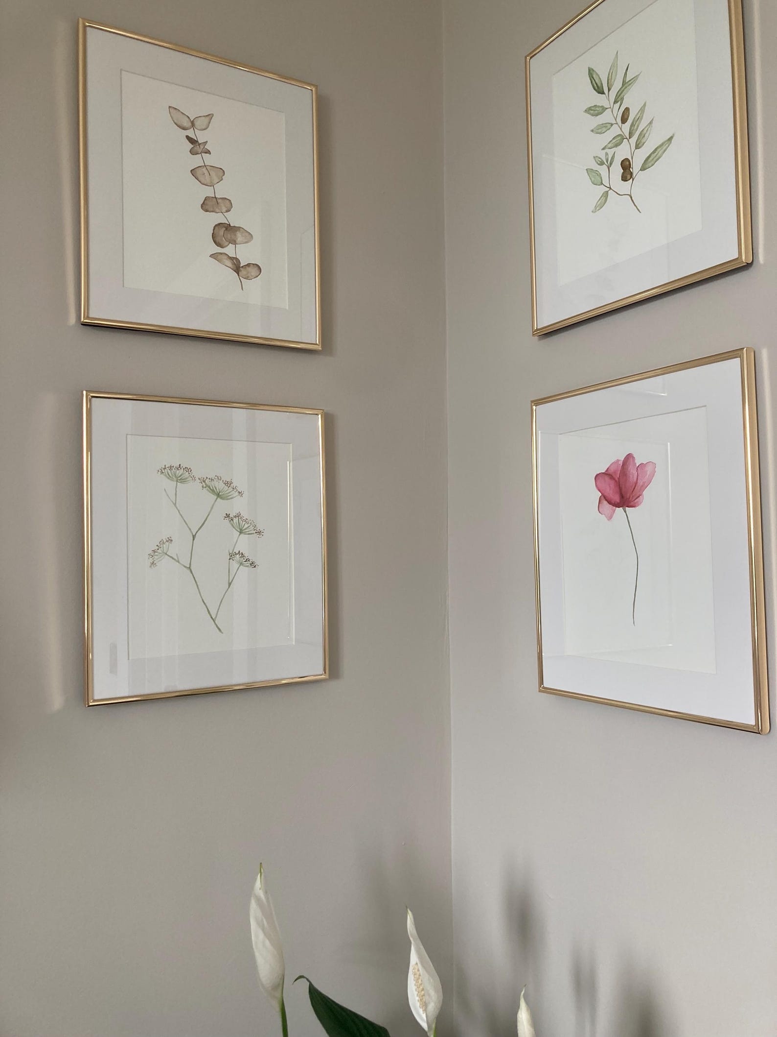 Watercolour of Single Flower - Original Hand Painted A4 Size (sold ...