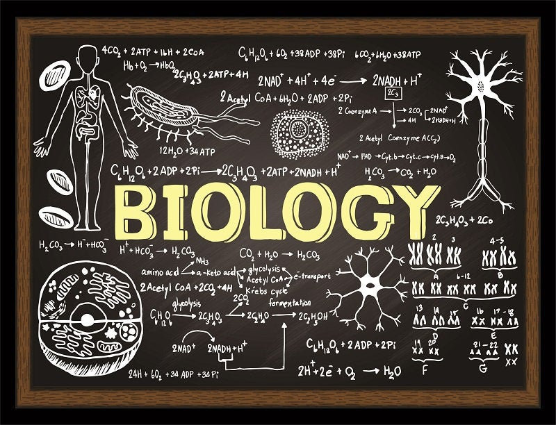 25 Biology Room Sign | Etsy