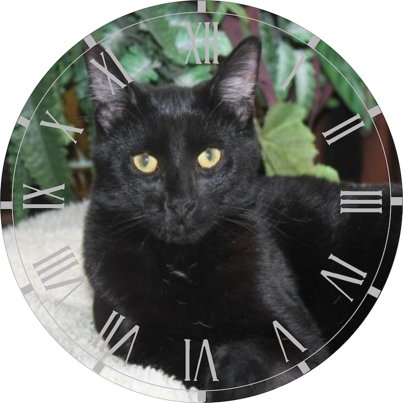 Unique Personalised Photo Clock - Your Image Printed on the Clock ...