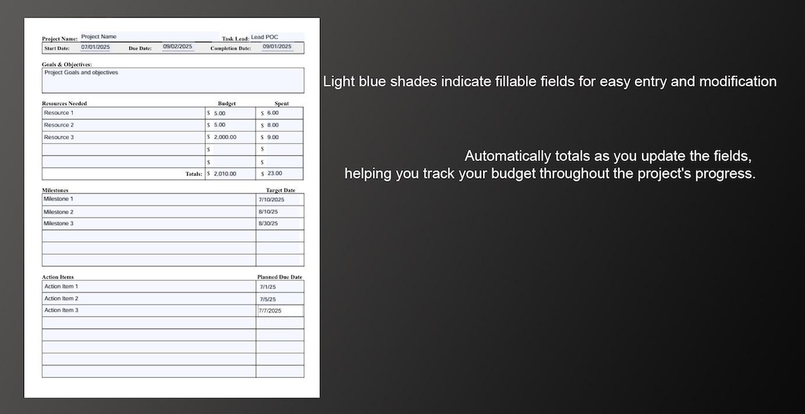 Fillable Project Plan Template (PDF) - Digital Planner Manage Projects ...