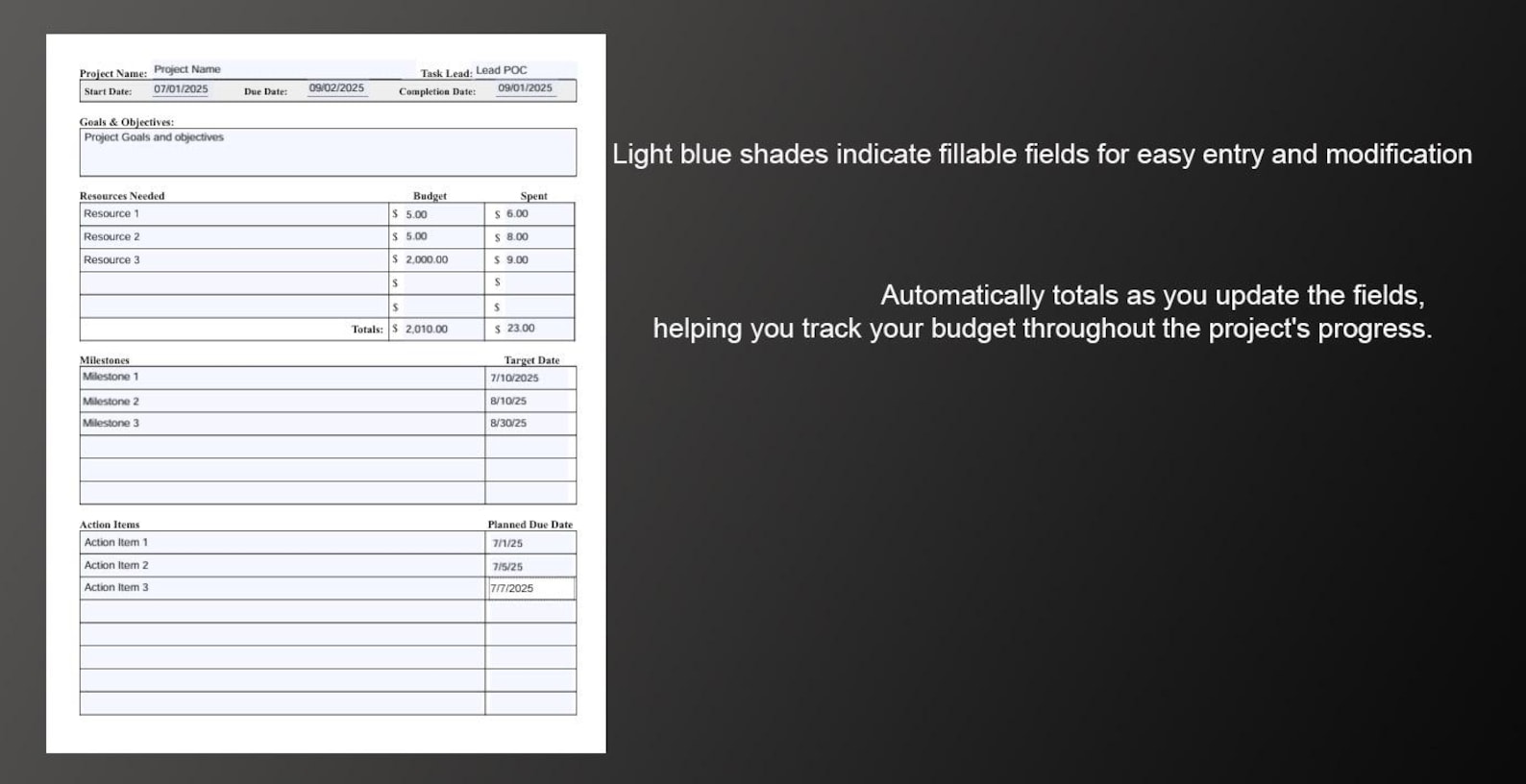 Fillable Project Plan Template (PDF) - Digital Planner Manage Projects ...