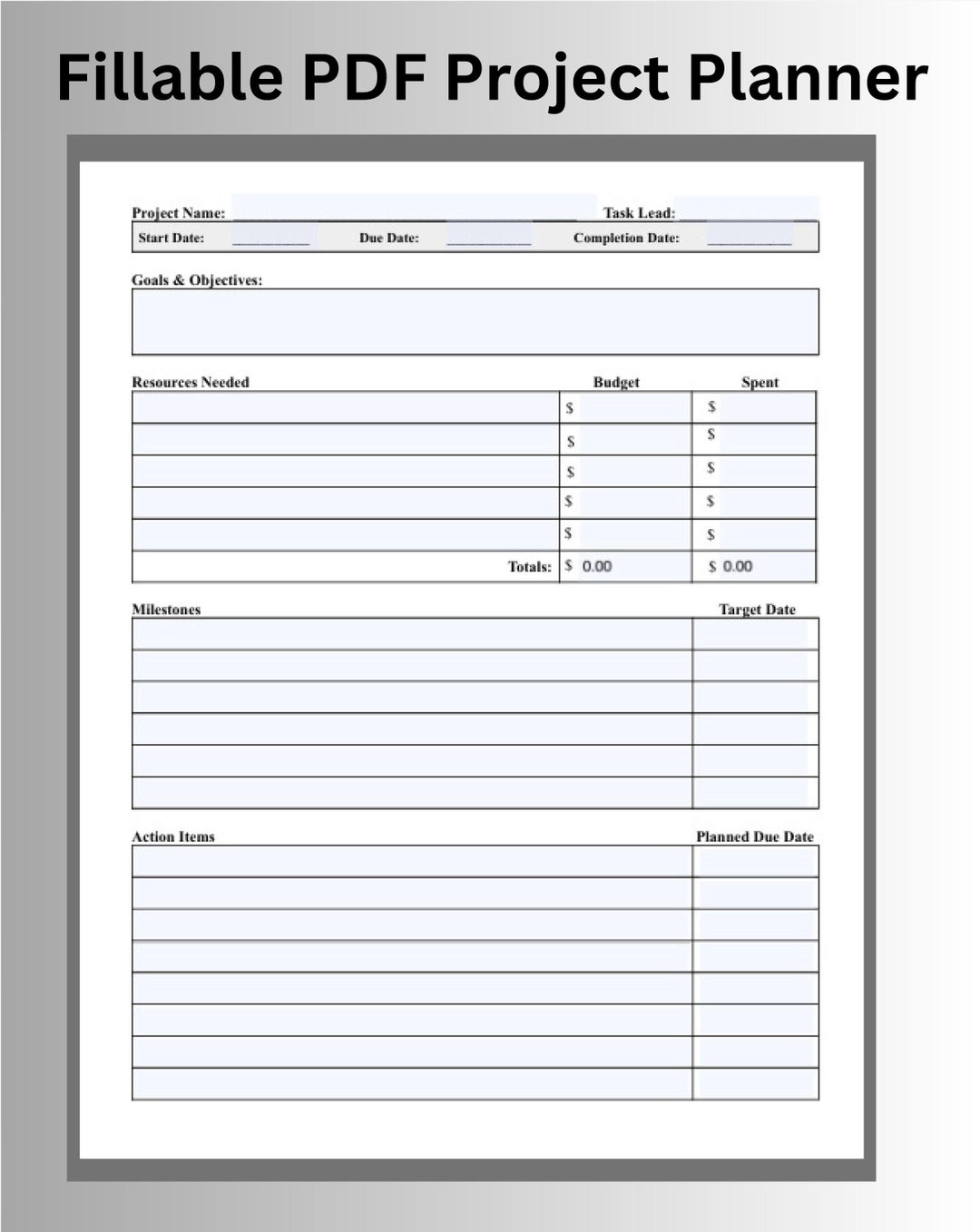 Fillable Project Plan Template (PDF) - Digital Planner Manage Projects ...