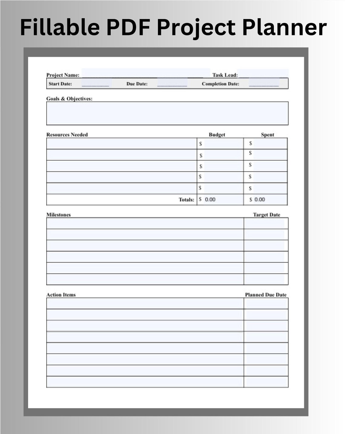 Fillable Project Plan Template (PDF) - Digital Planner Manage Projects ...