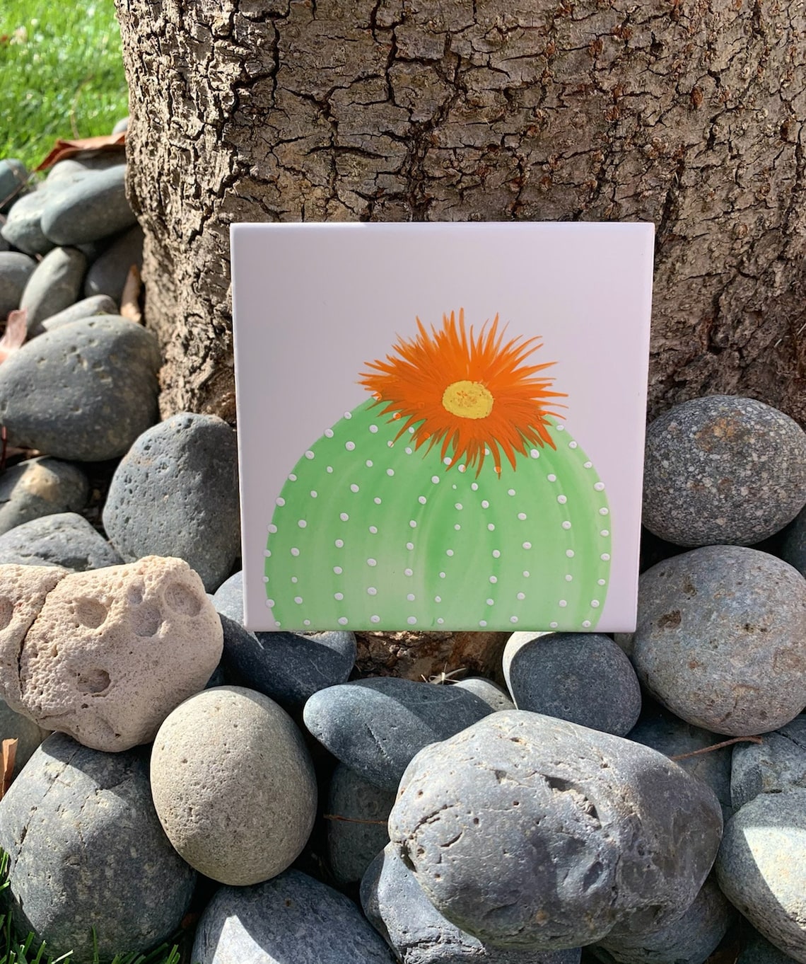 Flowering Cactus Hand Painted Ceramic Tile/ Ornament/ Wall - Etsy