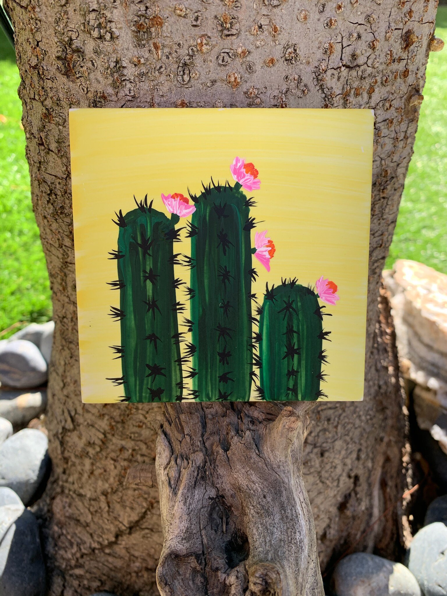 Cacti in Bloom Hand Painted Ceramic Tile/ Ornament/ Wall Art/ - Etsy