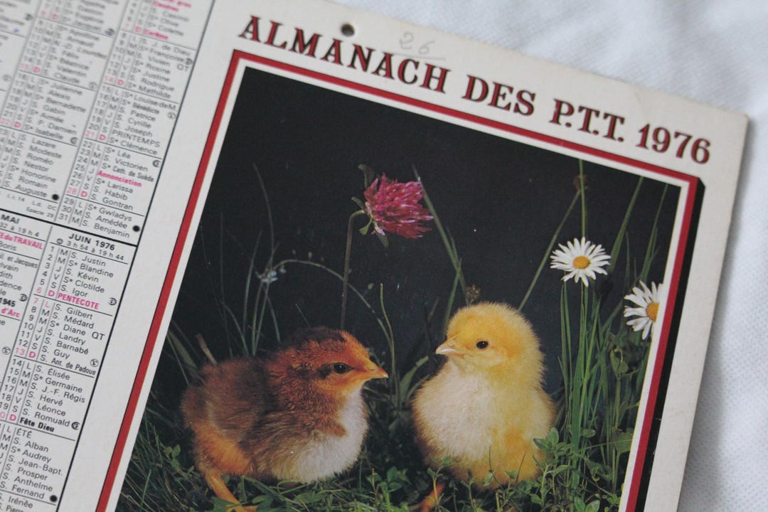 Vintage French Calendar 1976 Calendrier Almanach Christmas Gift ...