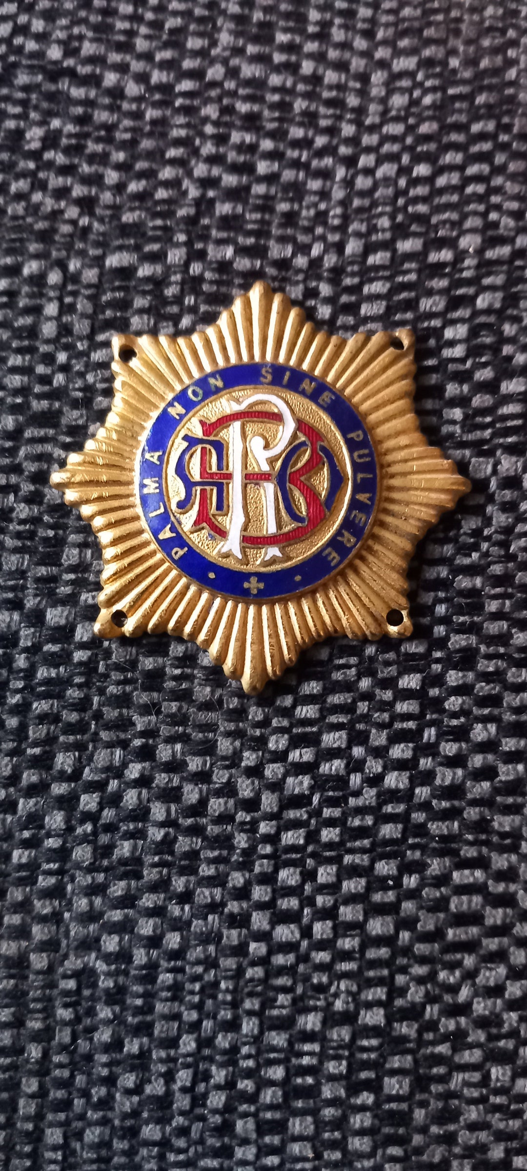 Vintage Royal Antiluvian Order of Buffaloes (raob)masonic Badge, Jewel ...