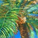 Palm Tree Original Painting Tropical Art Florida Tree Giclee - Etsy