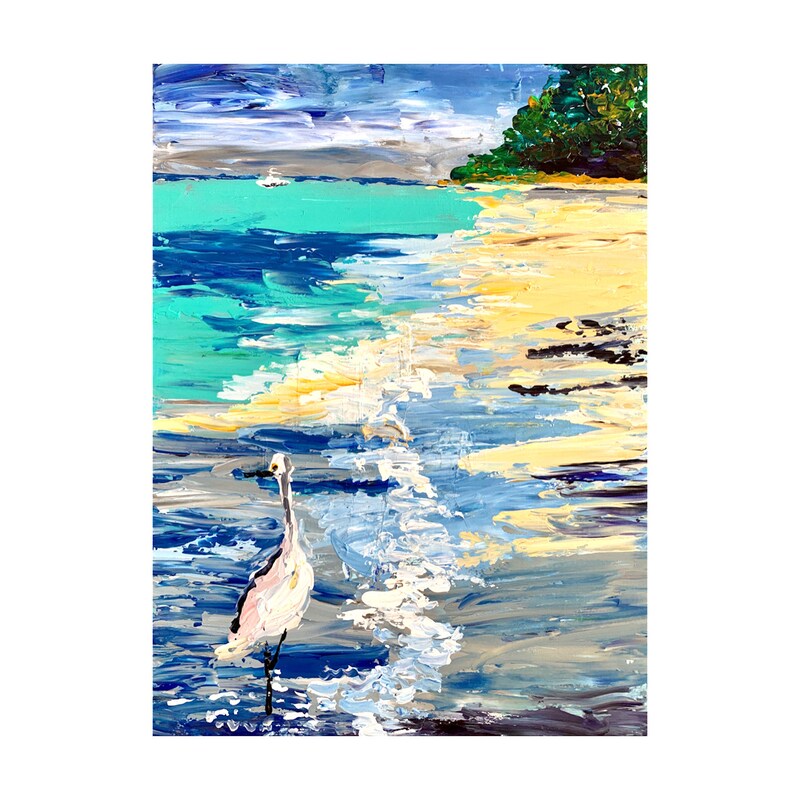Florida Bird Art - Etsy
