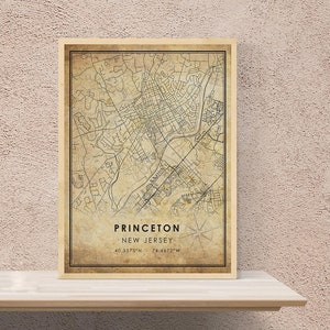 Princeton Map Print Princeton Map New Jersey Map Art | Etsy