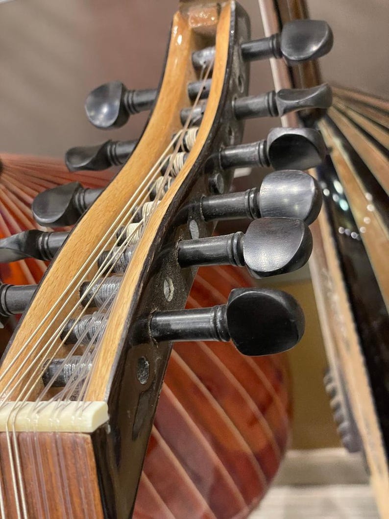 10m Egyptian Arabic Luxe OUD Classic Advanced/professional UD Strings ...