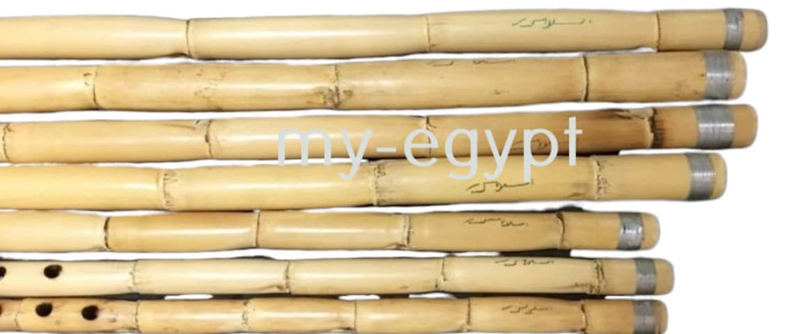 Egyptian Professional Ney Nay Flute Woodwind FULL Set 7 Pcs by - Etsy