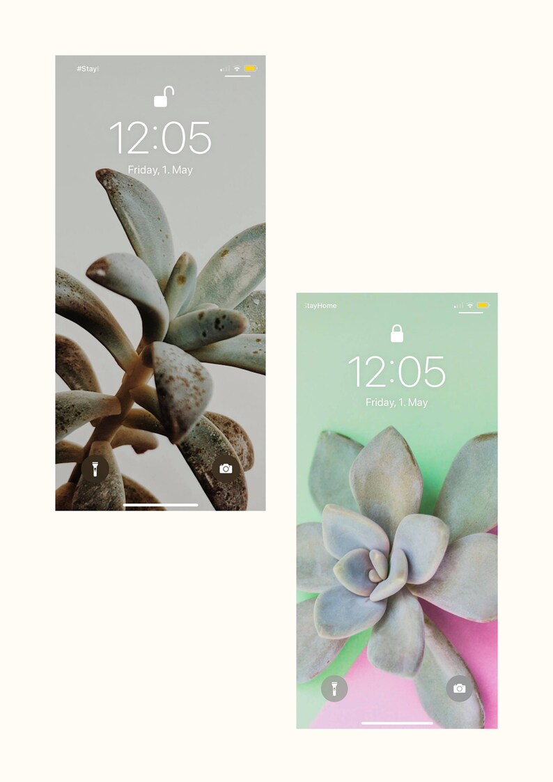 SUCCULENT iPhone WALLPAPERS - Set of 2 - Instant Download - Etsy