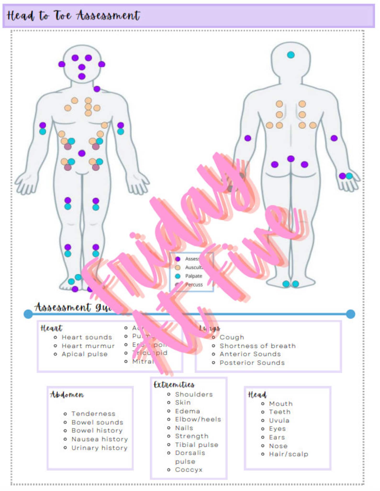 Nursing School: Head-to-toe Assessment Bundle - Etsy