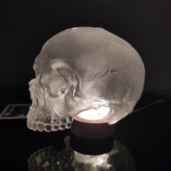 Skull Light - Etsy