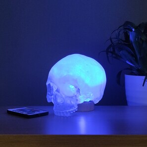 Skull Lamp - Etsy