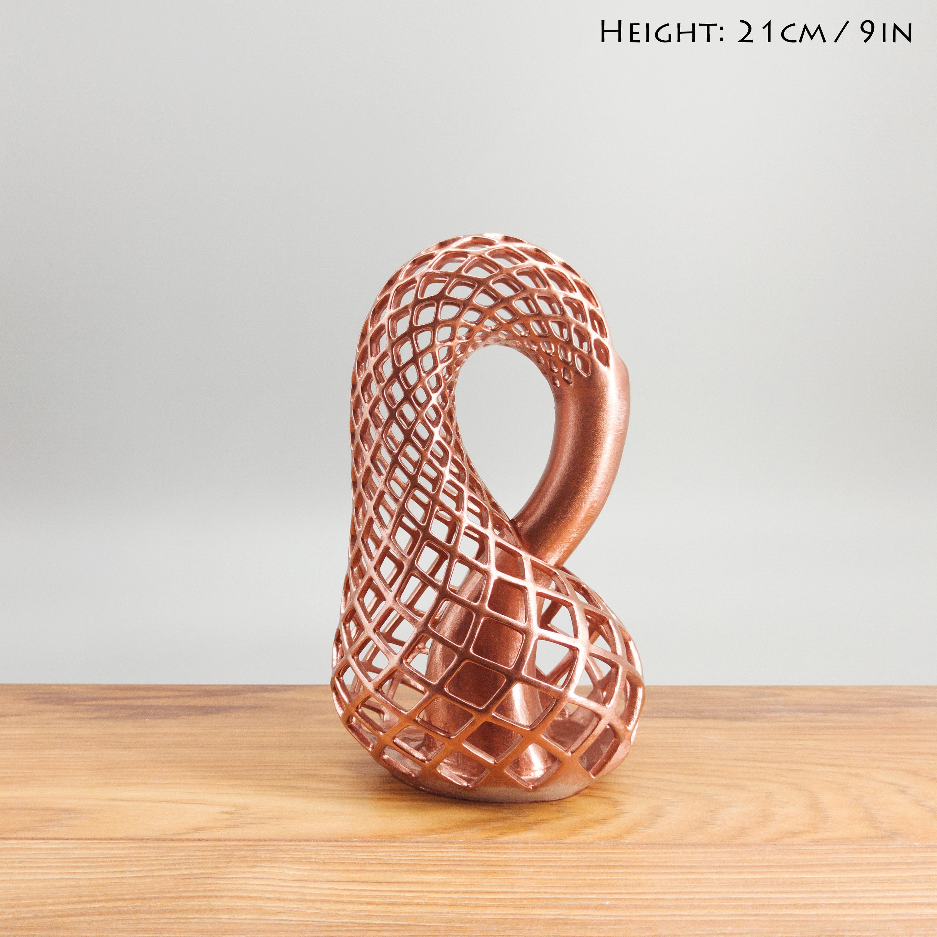 Klein Bottle