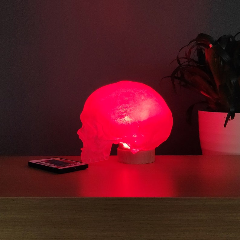 Human Skull Desk LED Lamp Skull Light 3D Printed Modern - Etsy