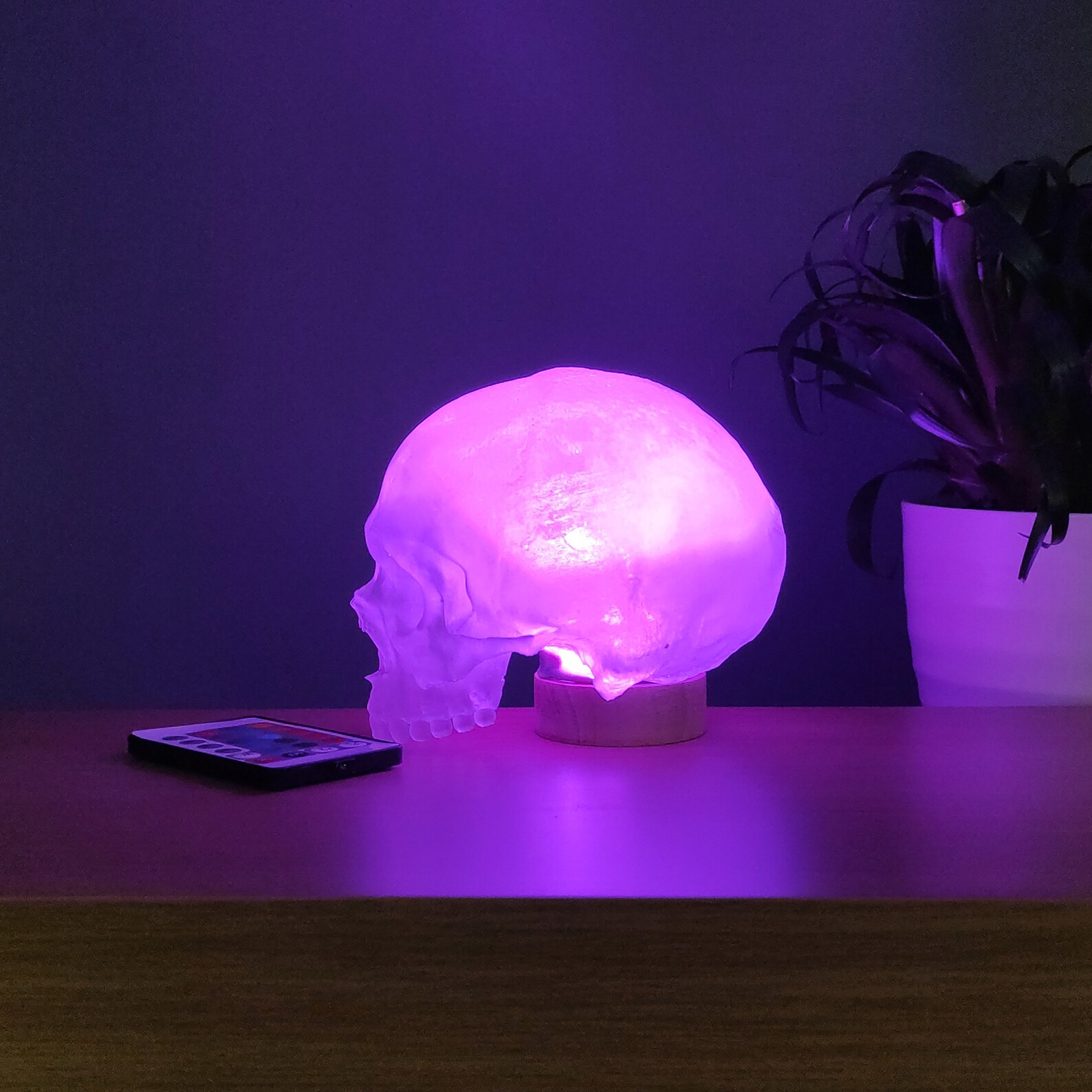 3D Printed Human Skull LED Lamp: Color Changing Gothic Decor Light With ...