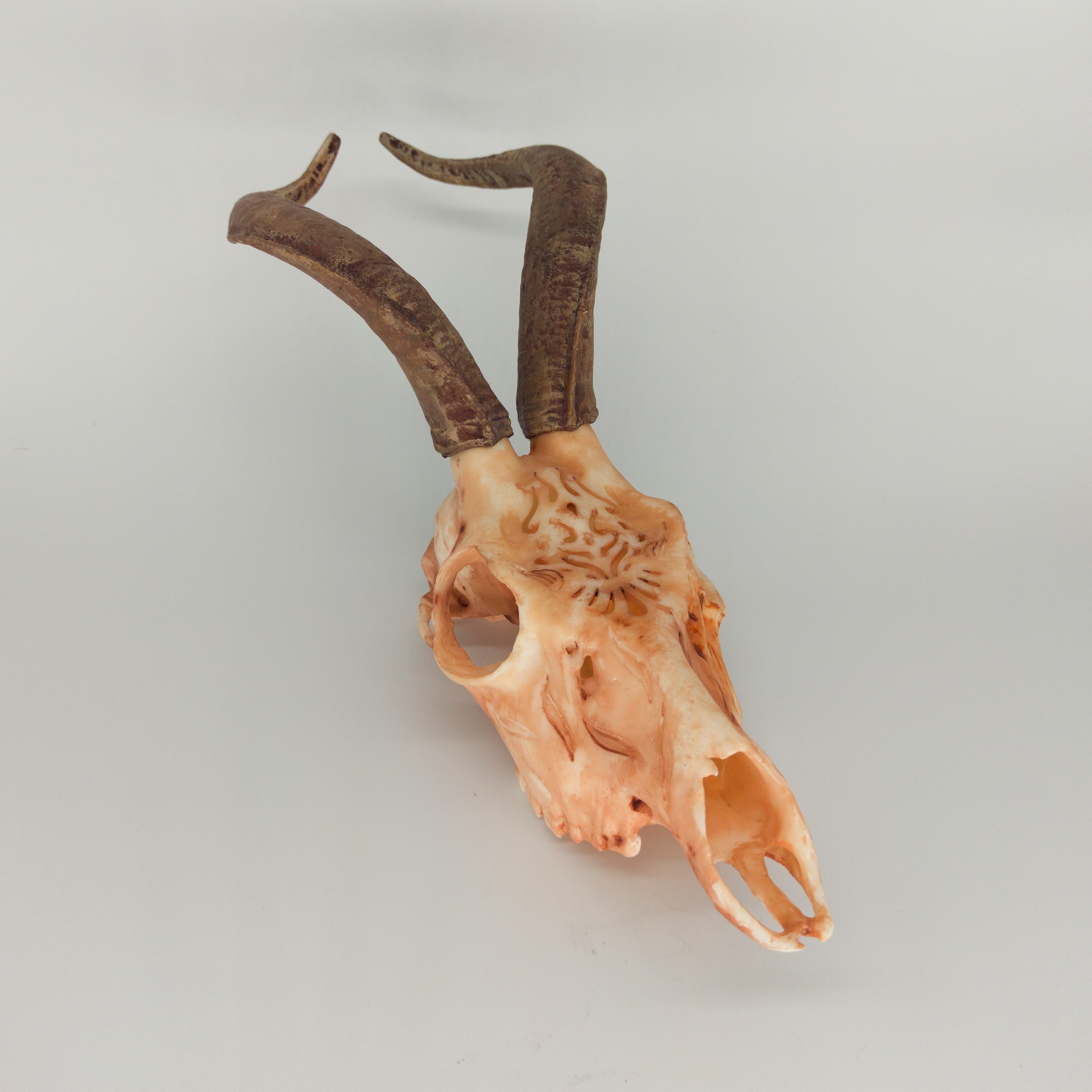 Faux Taxidermy Carved Antelope Skull in Bone Color With Brown - Etsy