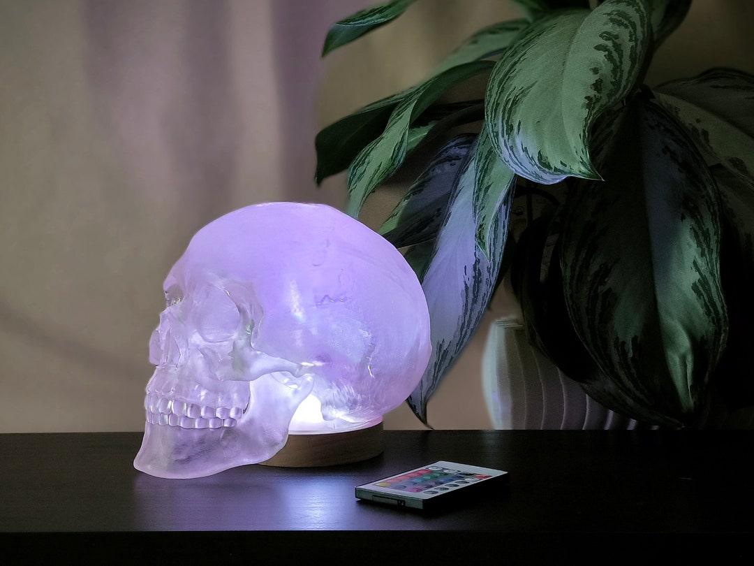 Human Skull Table Lamp, Skull Light, 3D Printed Anatomical Skull ...