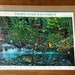 Pacific Coast Rainforest Nature of America Full Pane of Stamps, 33 Cent ...