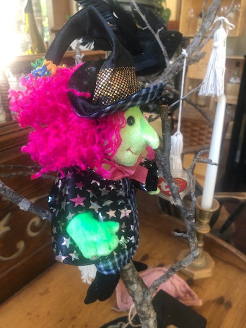 Vintage 2000 Ty Beanie Baby Witch Scary New With Protected - Etsy