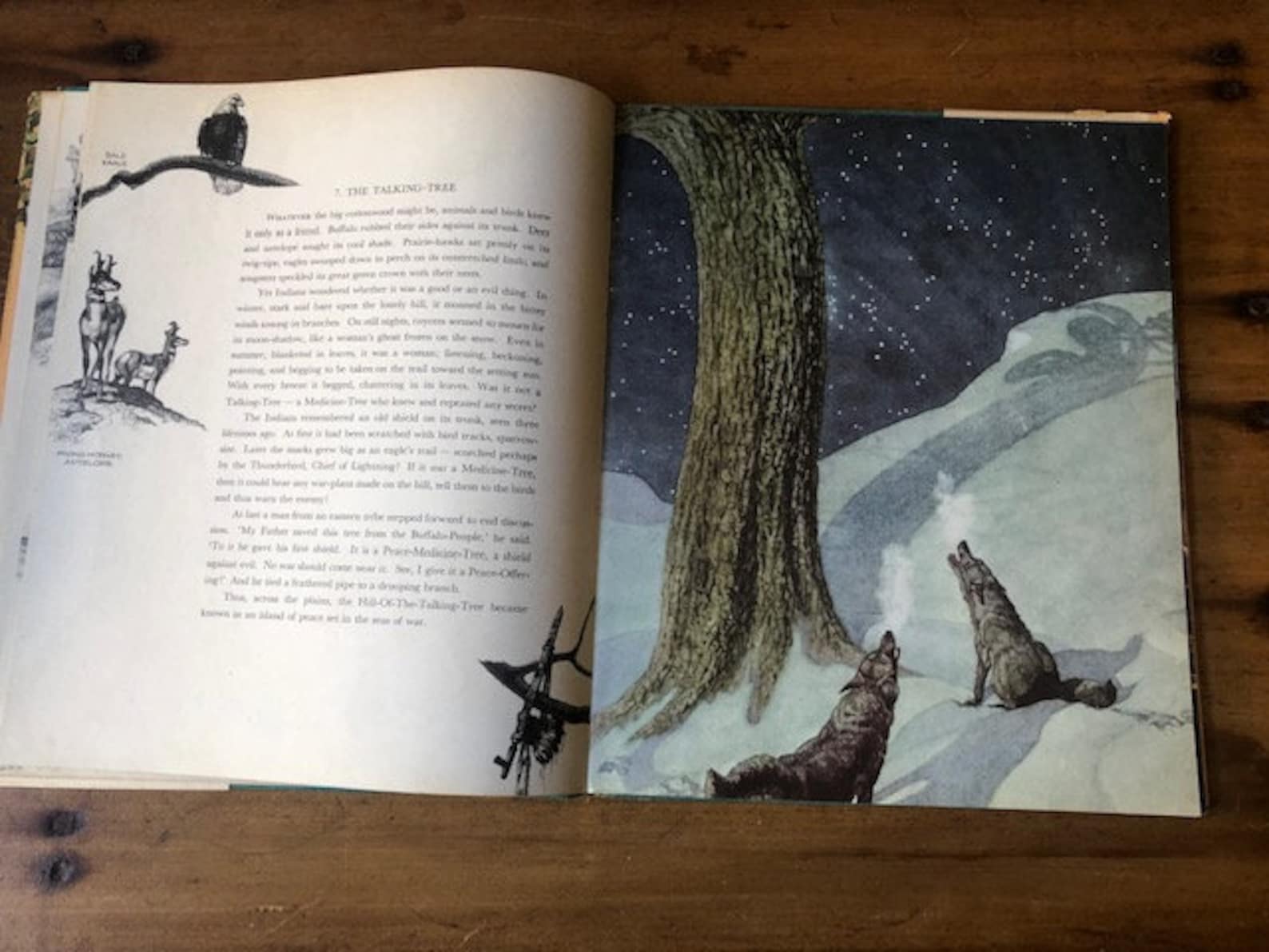 Vintage 1942 Tree in the Trail Book, Holling Clancy Holling - Etsy