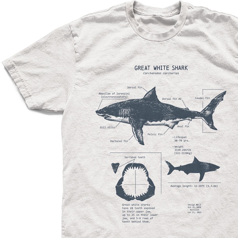 Anatomy Shark - Etsy