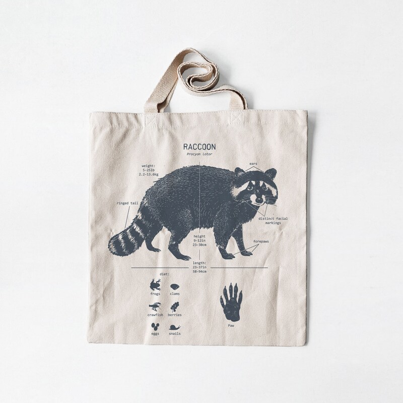 Raccoon Drawing - Etsy