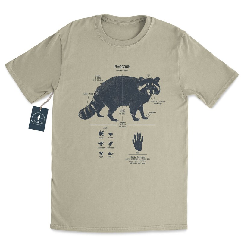 Raccoons - Etsy