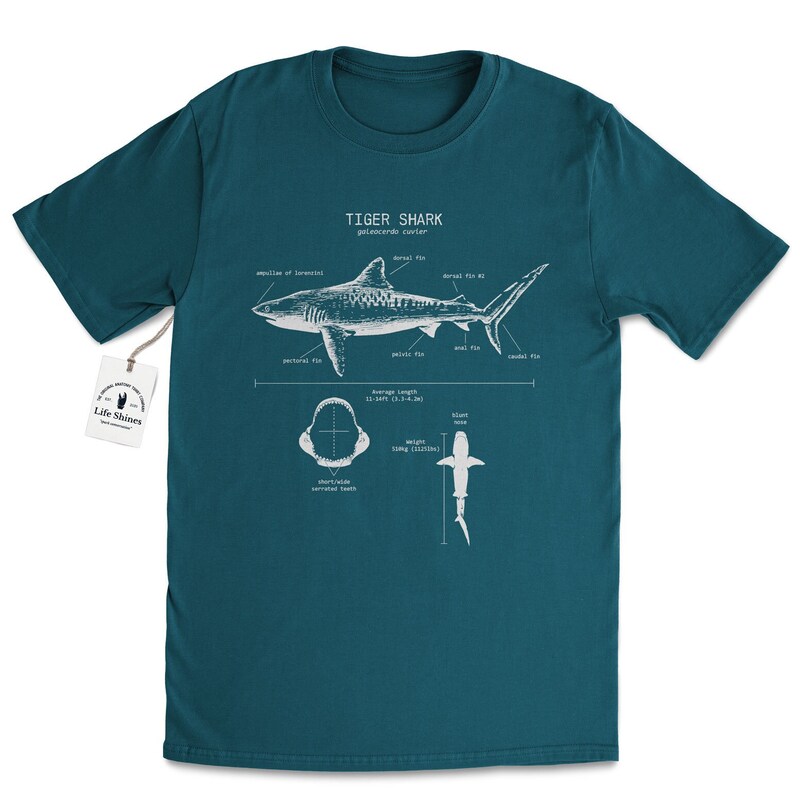 Shark Fin Shirt - Etsy
