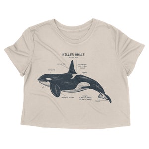Killer Whale Anatomy Crop Top, Orca Top, Marine Biologist Shirt ...