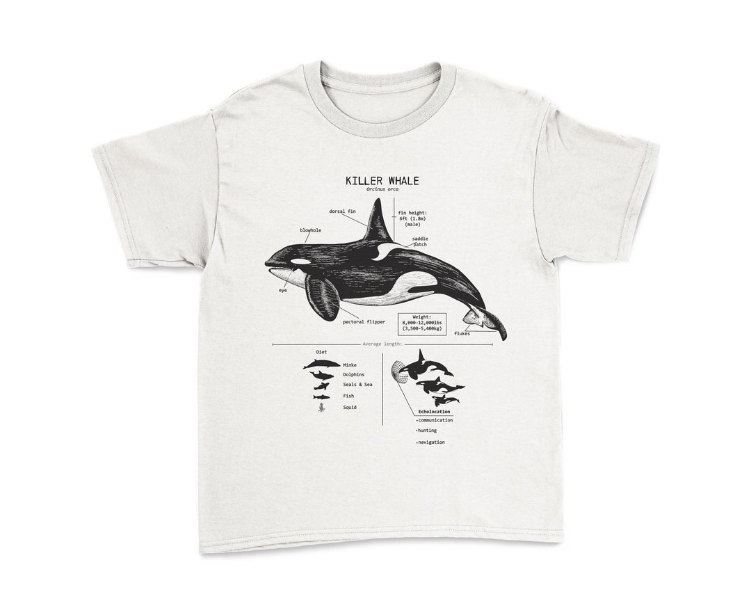 Youth Killer Whale Anatomy Tshirt, Screen Printed Orca Tshirt for Kids, Marine Biology Youth ...