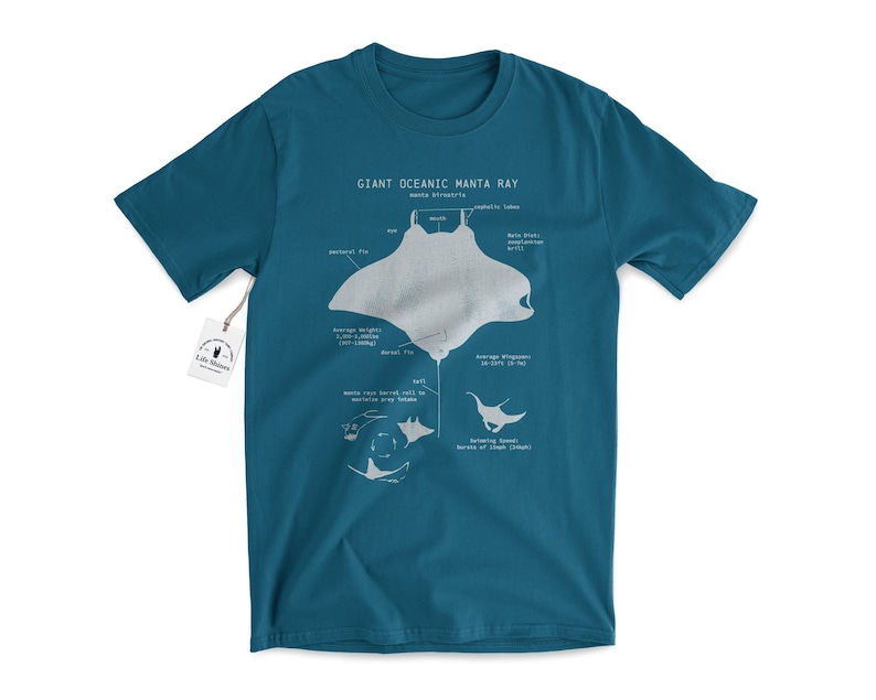 Manta Ray Anatomy T shirt Giant Oceanic Manta Ray Shirt | Etsy