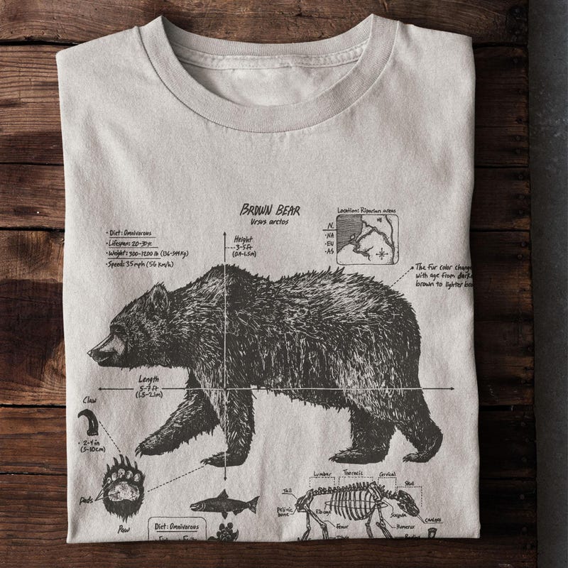 Anatomy Animal Bear - Etsy