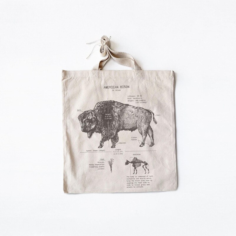 Bison Canvas - Etsy